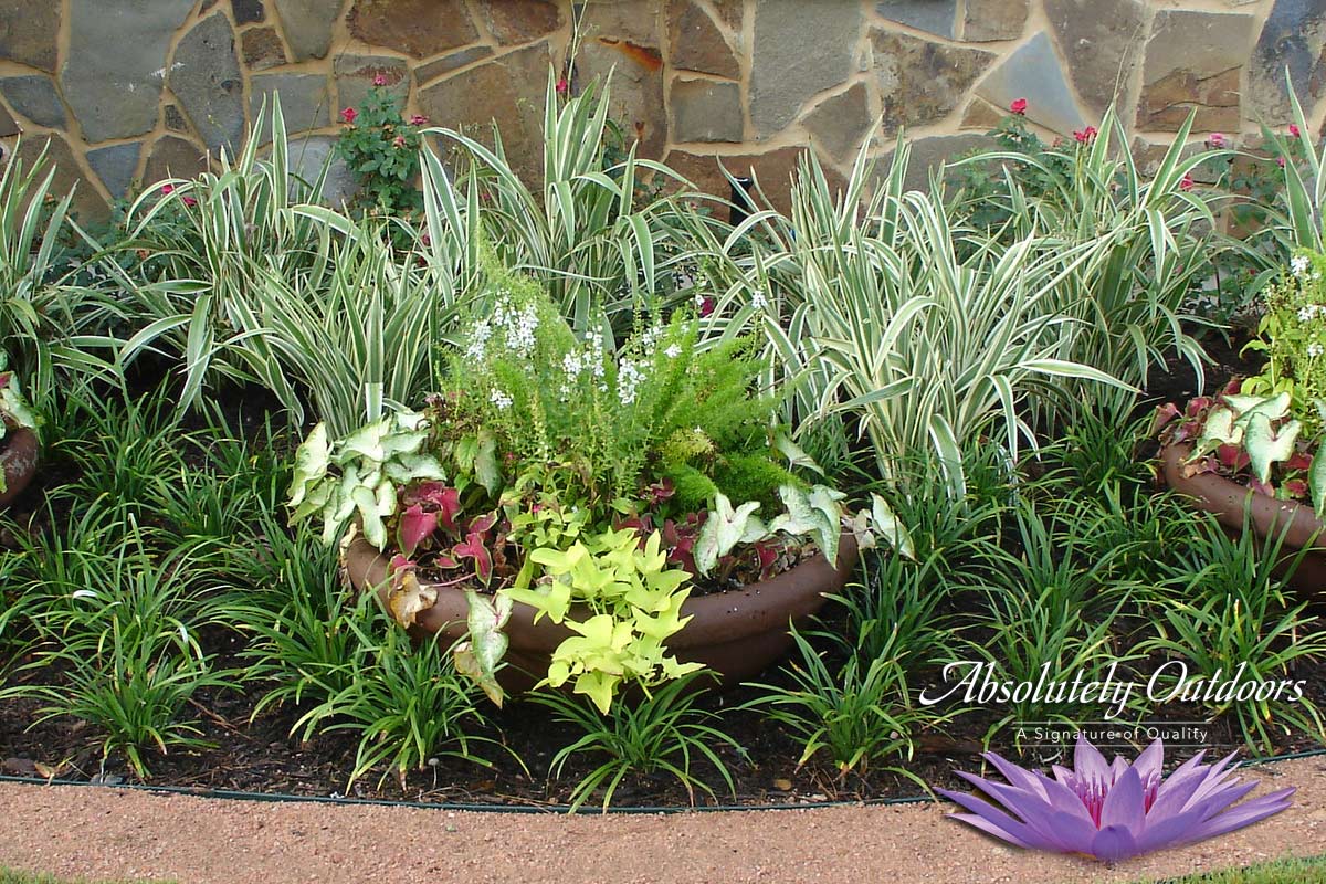 7 Tips to Finding the Best Landscaper | Absolutely Outdoors